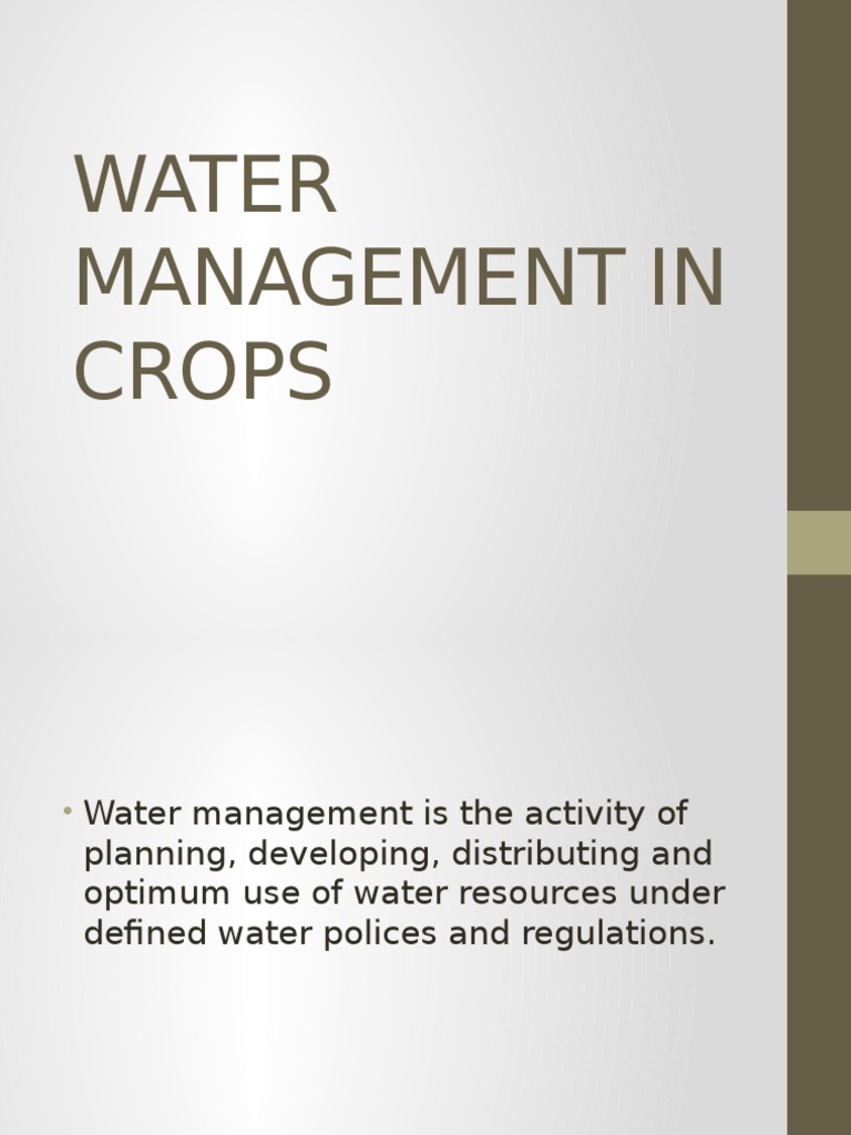Water Management in Crops | PDF | Irrigation | Soil Science
