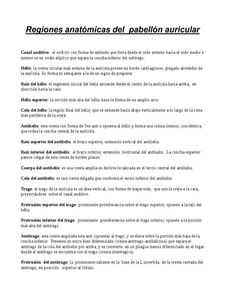 Anatomia de La Oreja | PDF | Oído | Anatomía humana