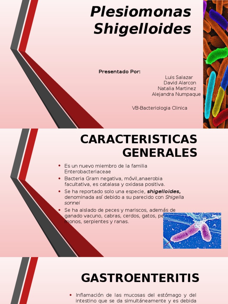 Plesiomonas Shigelloides | PDF | Diarrea | Heces