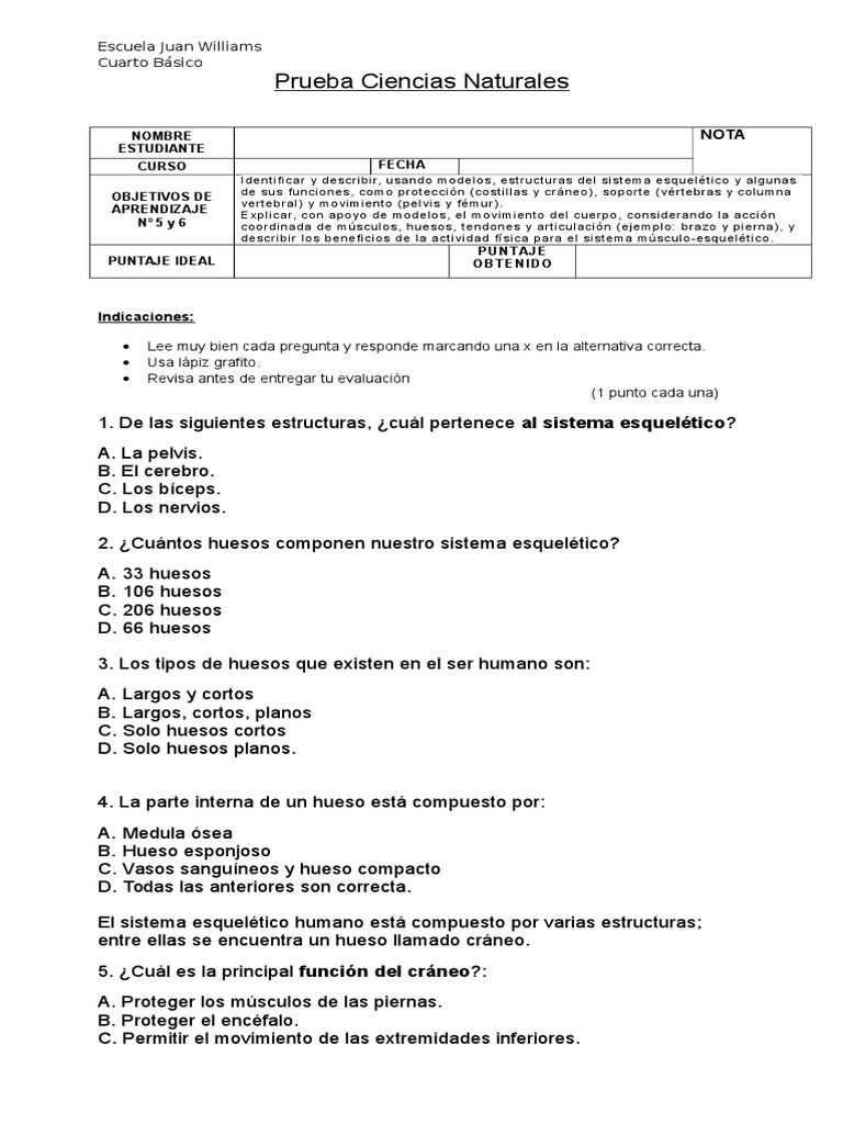 Prueba Sistema Oseo y Muscular | PDF | Hueso | Músculo