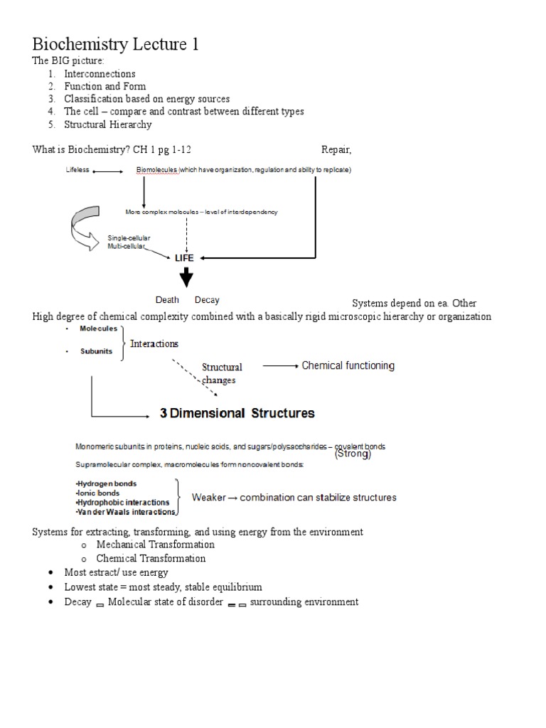 Biochemistry Lecture 1: Cell Structure and Energy | PDF | Beta Sheet ...
