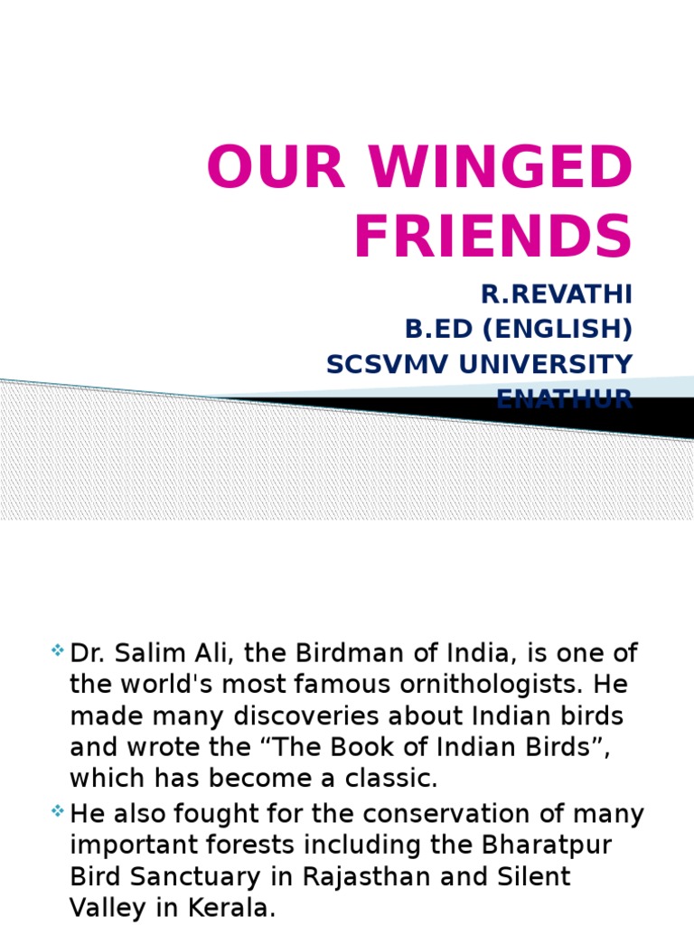 Our Winged Friends | PDF | Birds | Paravians