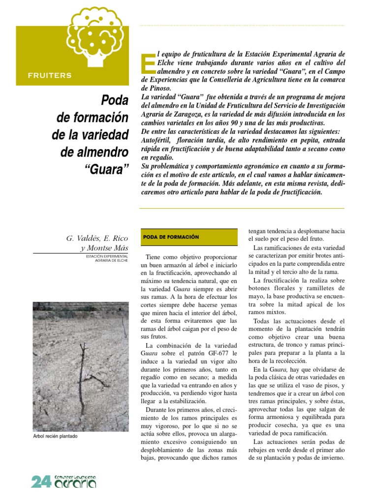 Poda de Formacion de La Variedad de Almendro - Guara | PDF | Arboles ...