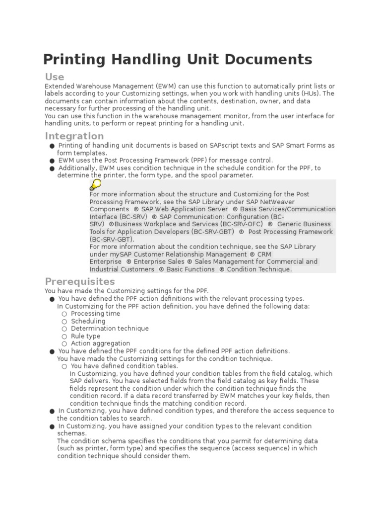 EWM HU Label PPF Action and Conditions Technique | PDF | Customer ...