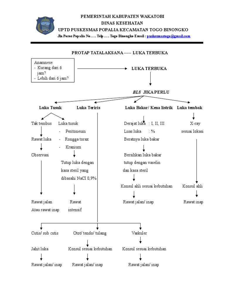 Protap Tatalaksana Luka Terbuka | PDF