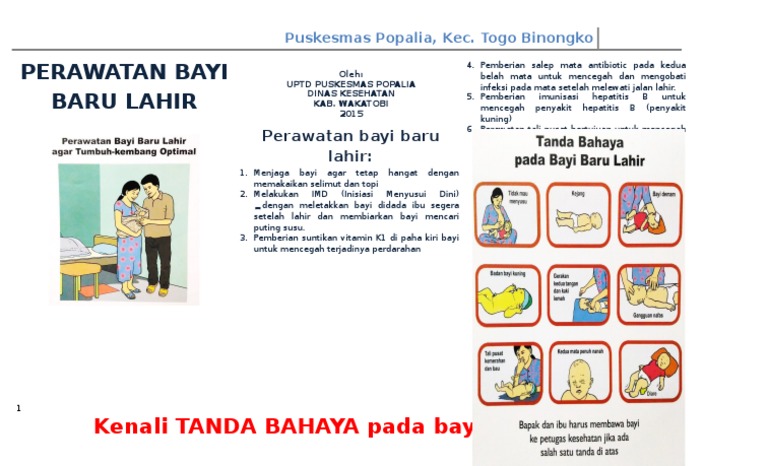Leaflet Perawatan Bayi Baru LAhir | PDF