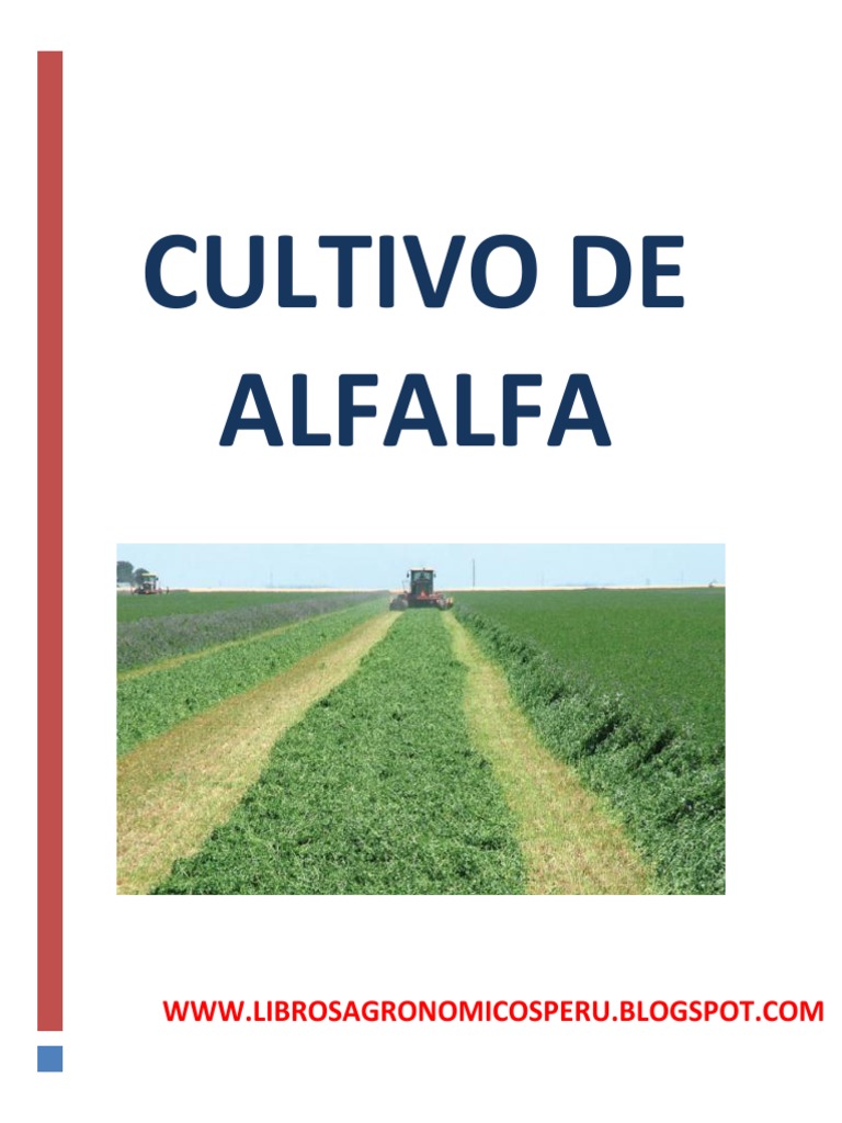 Cultivo de Alfalfa | PDF | Fertilizante | Alfalfa