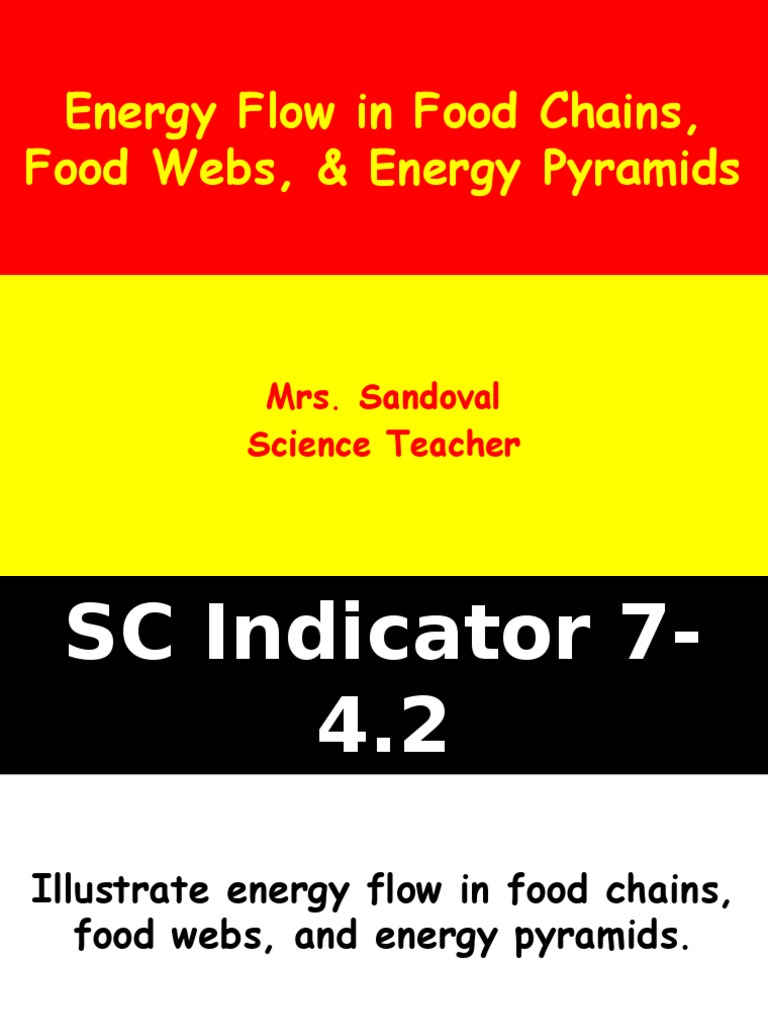 Energy Flow in Ecosystems Explained | PDF | Food Web | Predation