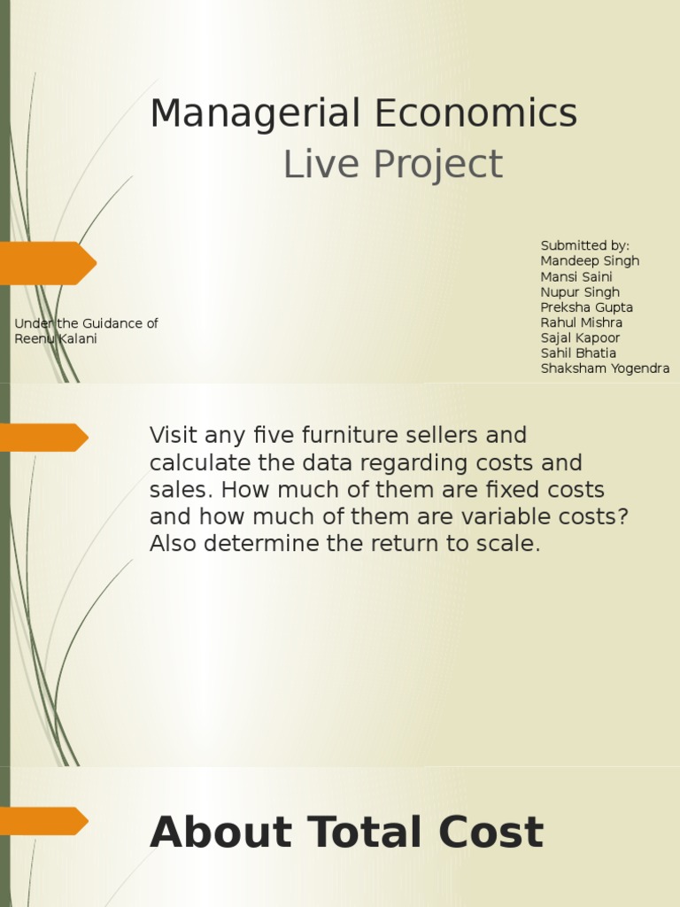 Managerial Economics: Live Project | PDF | Production Function | Industries