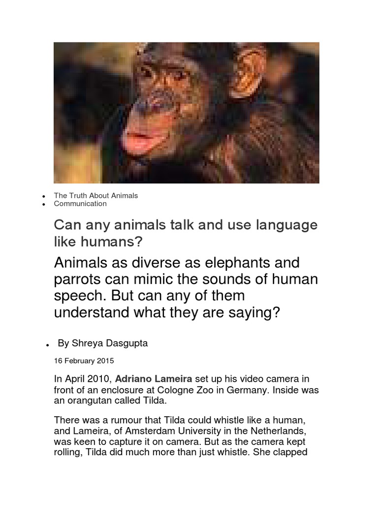 The Truth About Animals | PDF | Cognitive Science | Cognition