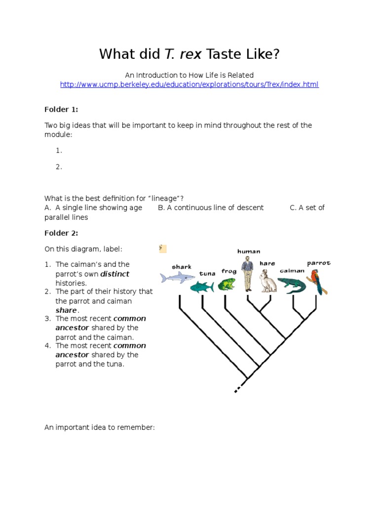 Assignment - What Did T Rex Taste Like - Online | PDF | Phylogenetic ...