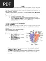 Lab Instructions Heart Dissection (Pig) | PDF | Heart Valve | Ventricle ...