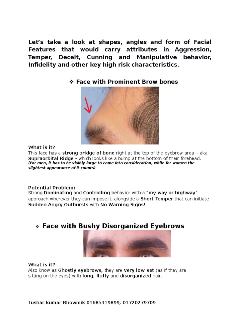 Face Reading Lesson1 Download Free Pdf Face Eyebrow
