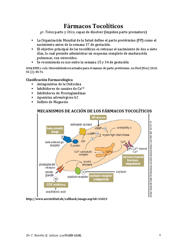 3 Tocoliticos | PDF | Parto | Parto prematuro