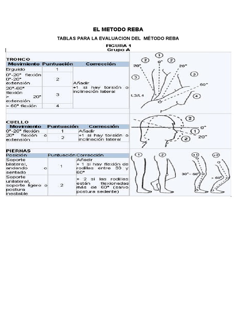 Una introducción al Método REBA para evaluar los riesgos ergonómicos ...