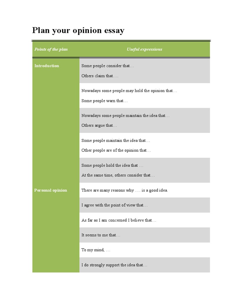 Plan your opinion essay outline | PDF