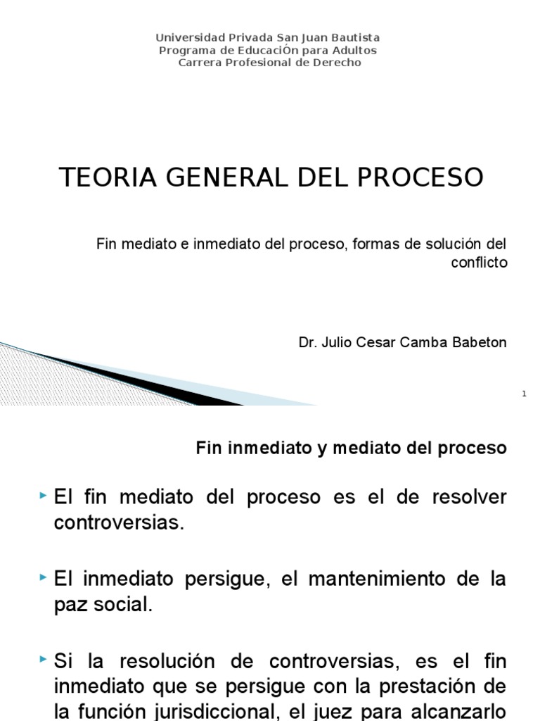 Fin Mediato e Inmediato Del Proceso, Formas de Solución Del Conflicto ...