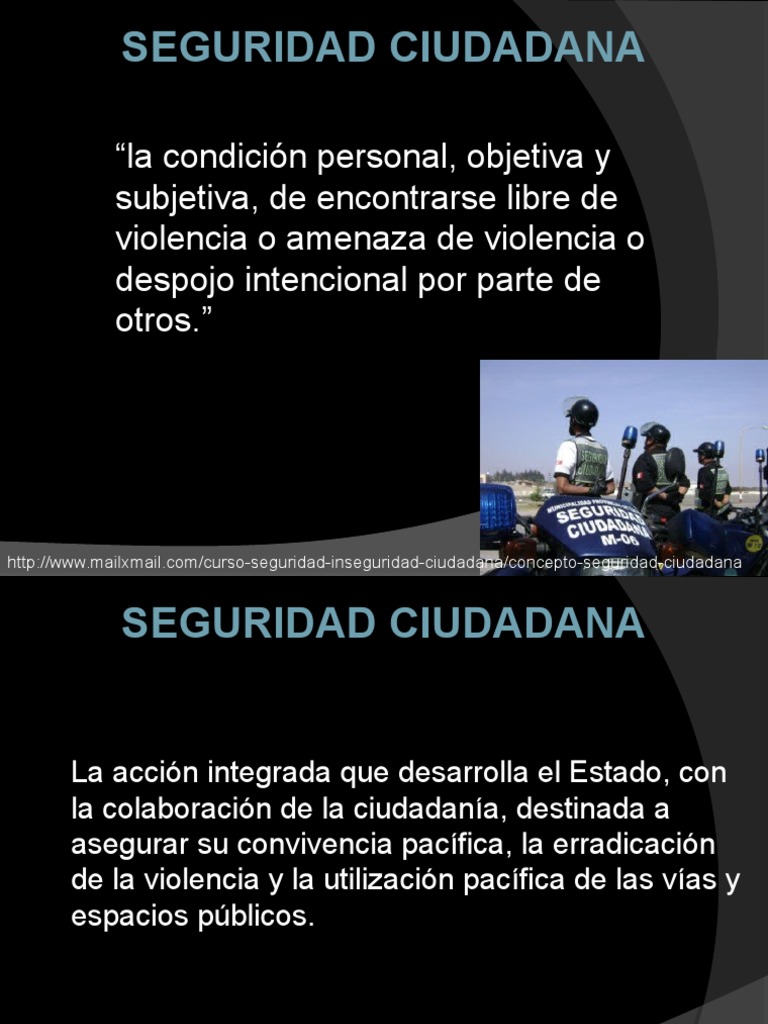 Seguridad Ciudadana | PDF