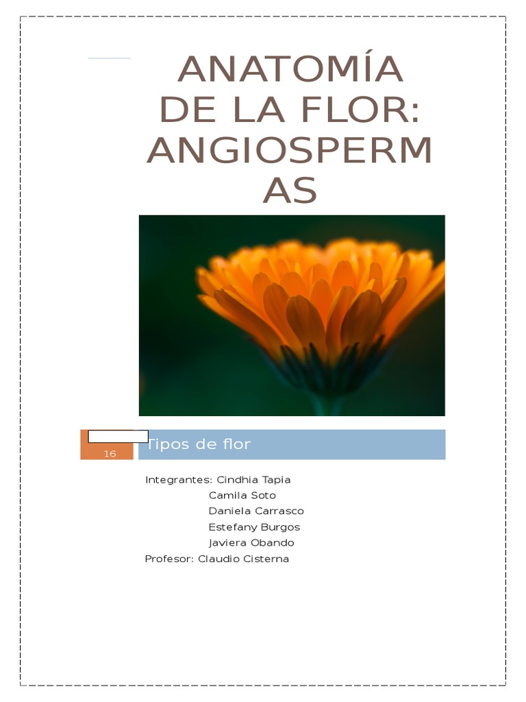 Trabajo Finalizado Anatomia Flores | PDF | Flores | Ramas de la botánica