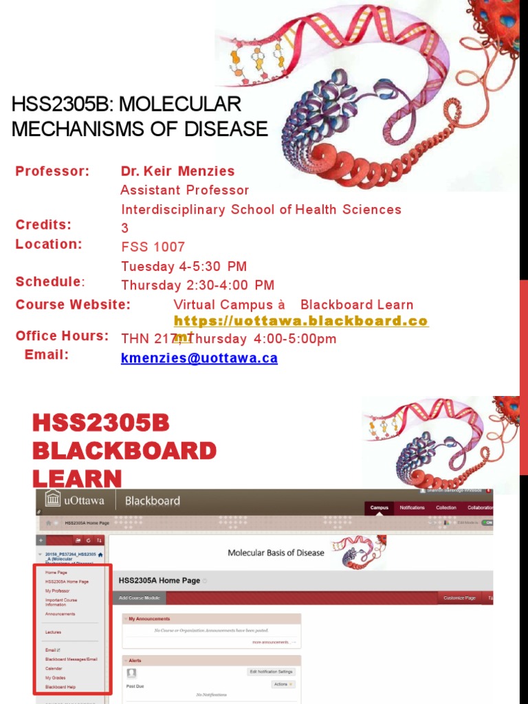 Lecture 1 - Introduction To Molecular Biology KM | PDF | Cell (Biology ...