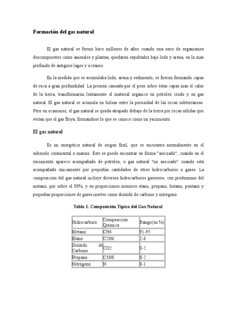 Formación Del Gas Natural | PDF | Depósito de petróleo | Gases
