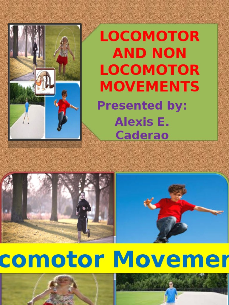 Locomotor and Nonlocomotor Movements | PDF