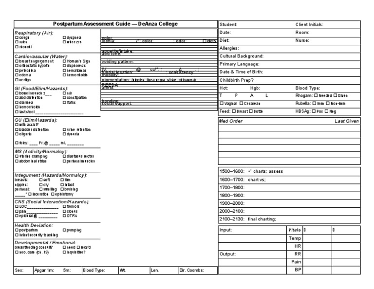 Patient Worksheet Postpartum 1 Patient - Odt | PDF