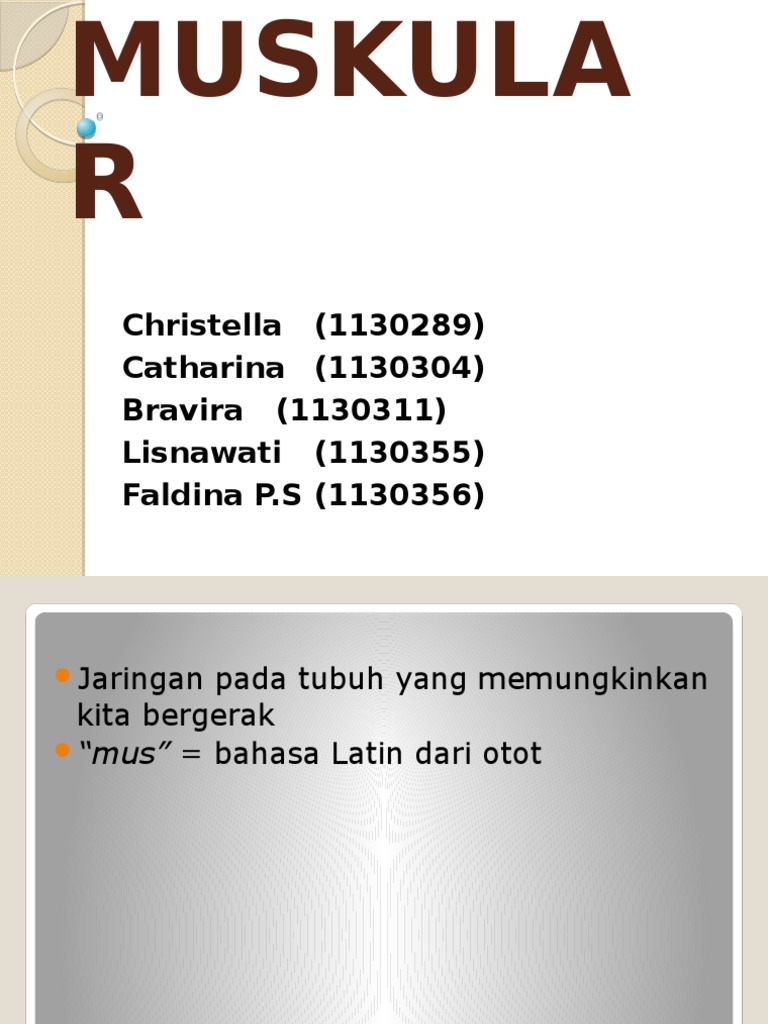 Sistem Muskular | PDF