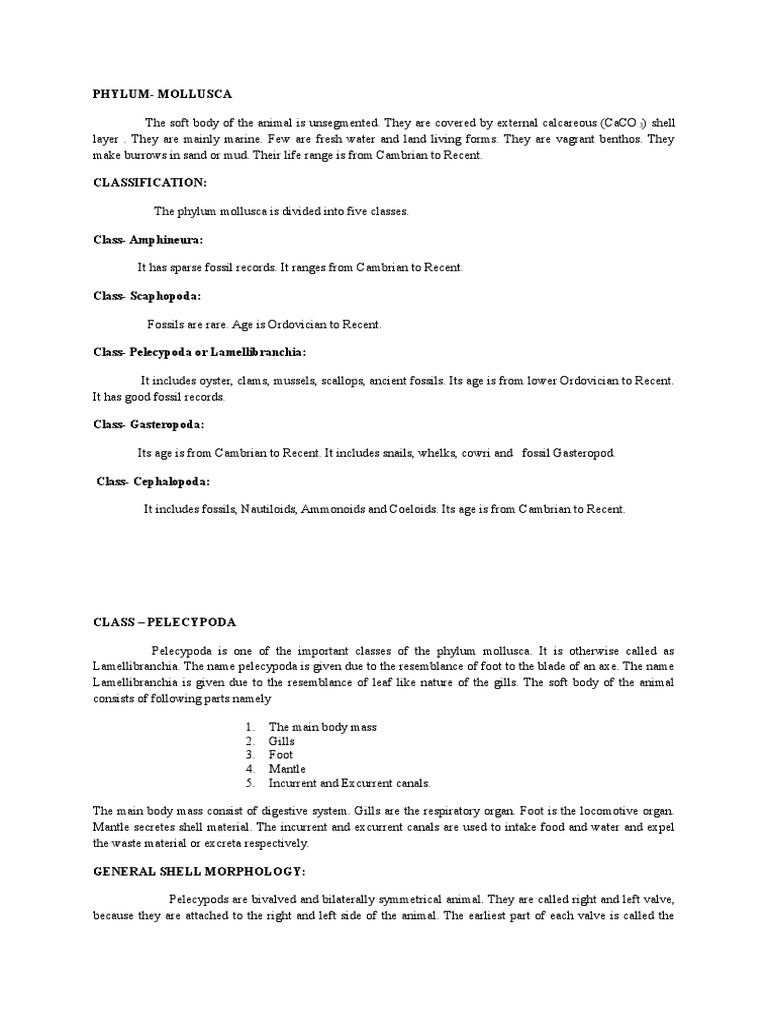 Pelecypoda: Morphology and Fossils | PDF | Bivalvia | Mollusca