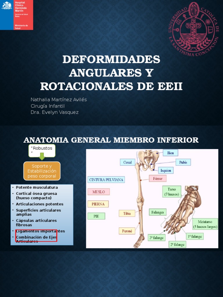 Deformidades Angulares y Rotacionales de EEII | PDF | Rodilla | Pie