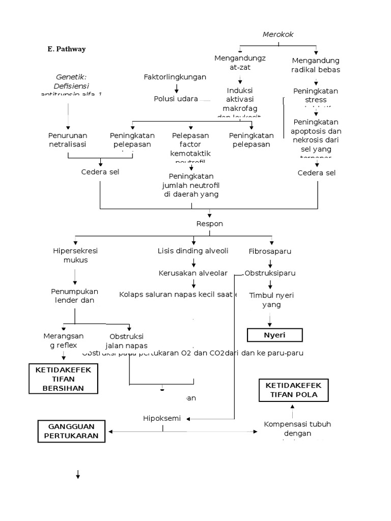Pathway Gangguan Oksigenasi Paru | PDF | Sains & Matematika