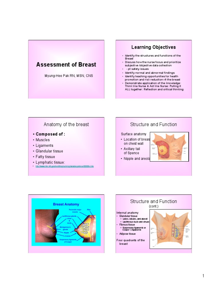 Assessment of Breast Rev 2013.Ppt | Breast | Organ (Anatomy)
