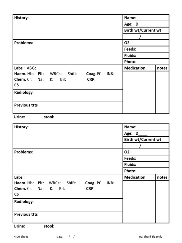 Nicu Sheet | PDF