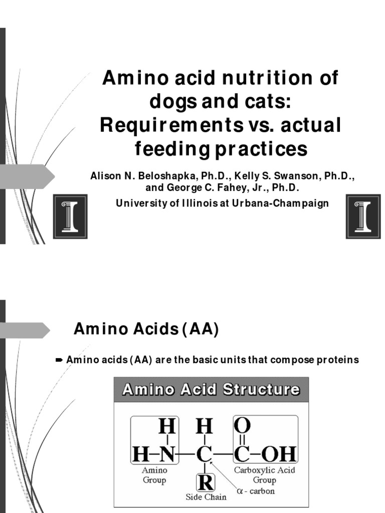 Amino Acid Nutrition of Dogs and Cats | PDF | Biochemistry | Chemistry