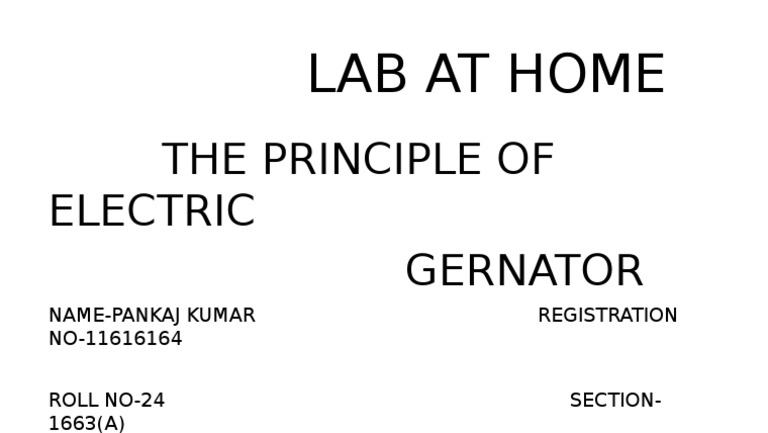 Home Lab: Electric Generator Basics | PDF