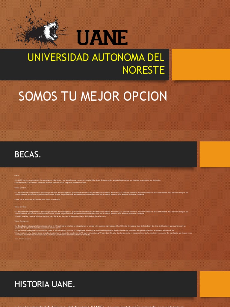 Presentacion de Uane | PDF | Beca | Educación Secundaria