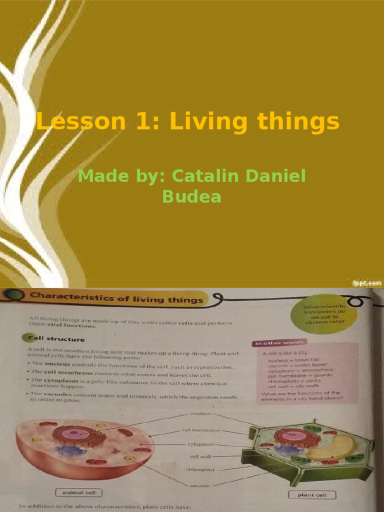 Tema 1 Living Things | PDF