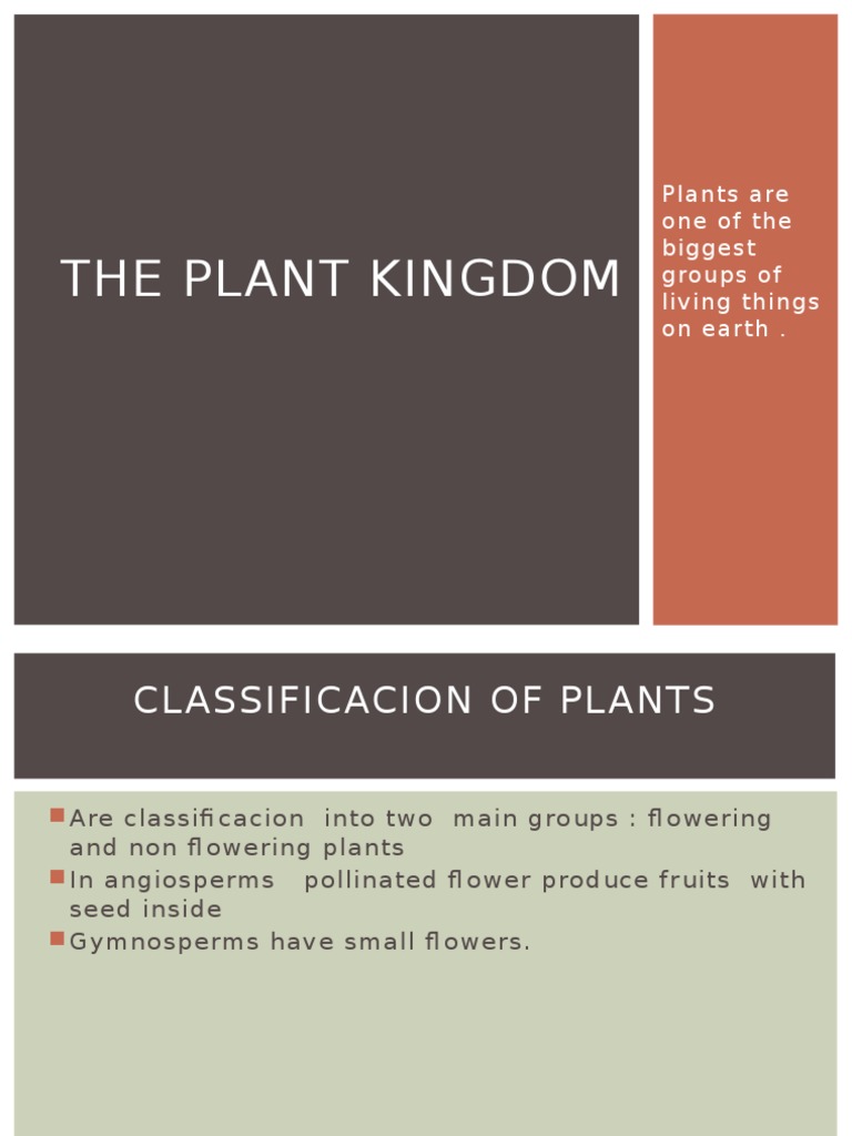 Overview of Plant Classification | PDF