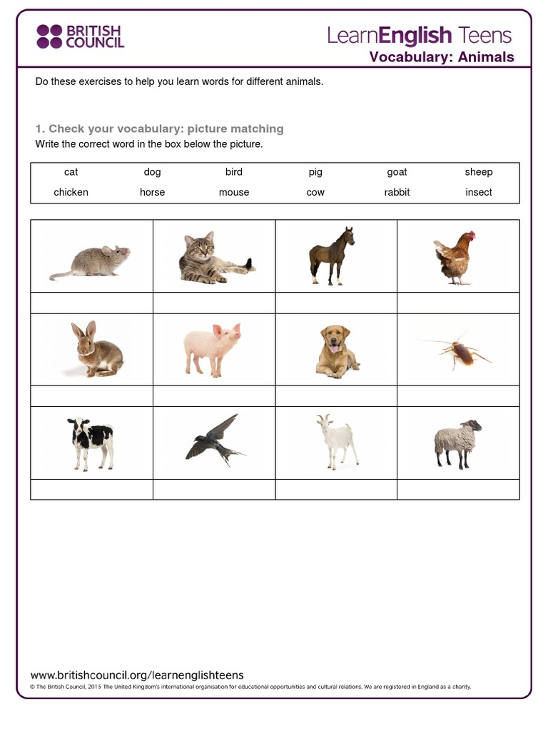 Vocabulary: Animals: 1. Check Your Vocabulary: Picture Matching | PDF