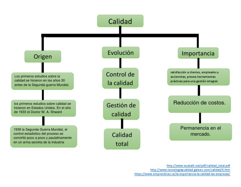 Mapa Conceptual Del Origen, Evolución e Importancia de La Calidad | PDF