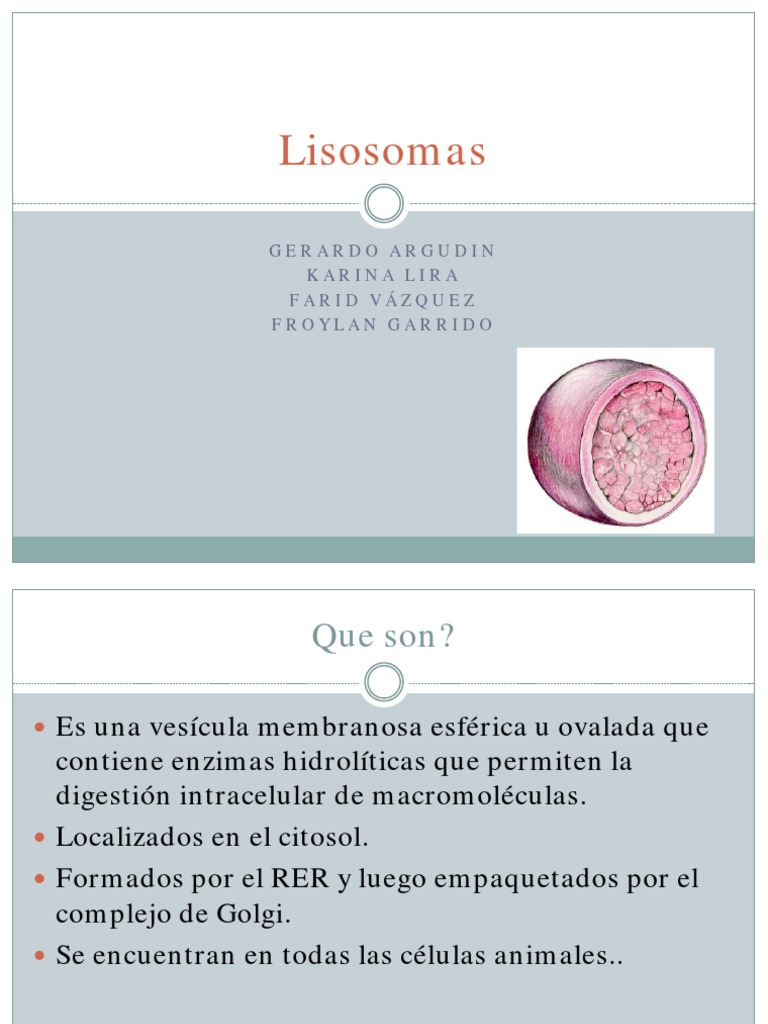 Lisosomas PDF