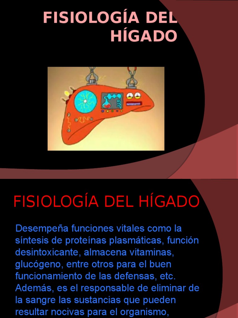 Fisiología Hepática Esencial | PDF | Glucógeno | Hígado