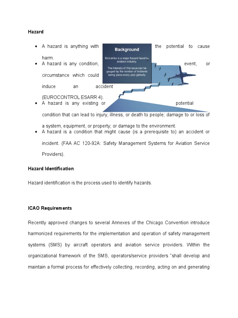 Hazard | PDF | Hazards | Safety