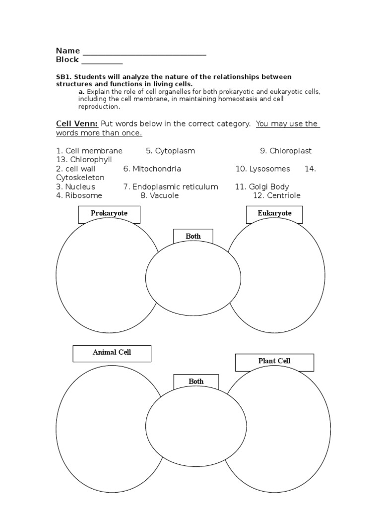 Cell Venn Diagram | PDF