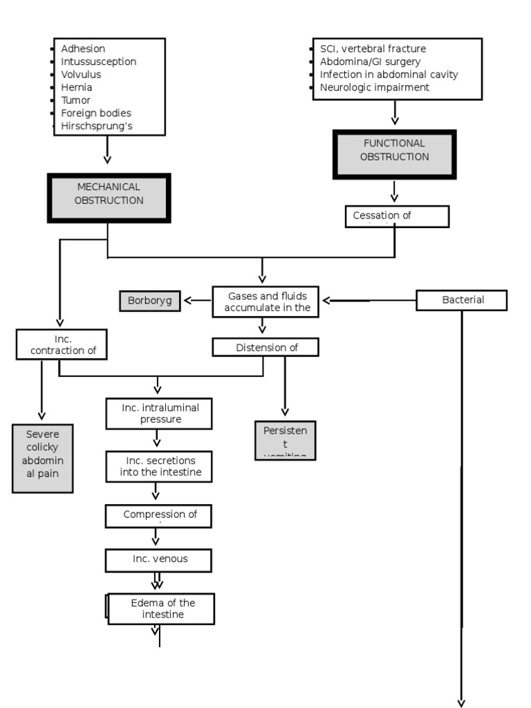 Pathophysiology of Intestinal Obstruction | PDF | Science & Mathematics