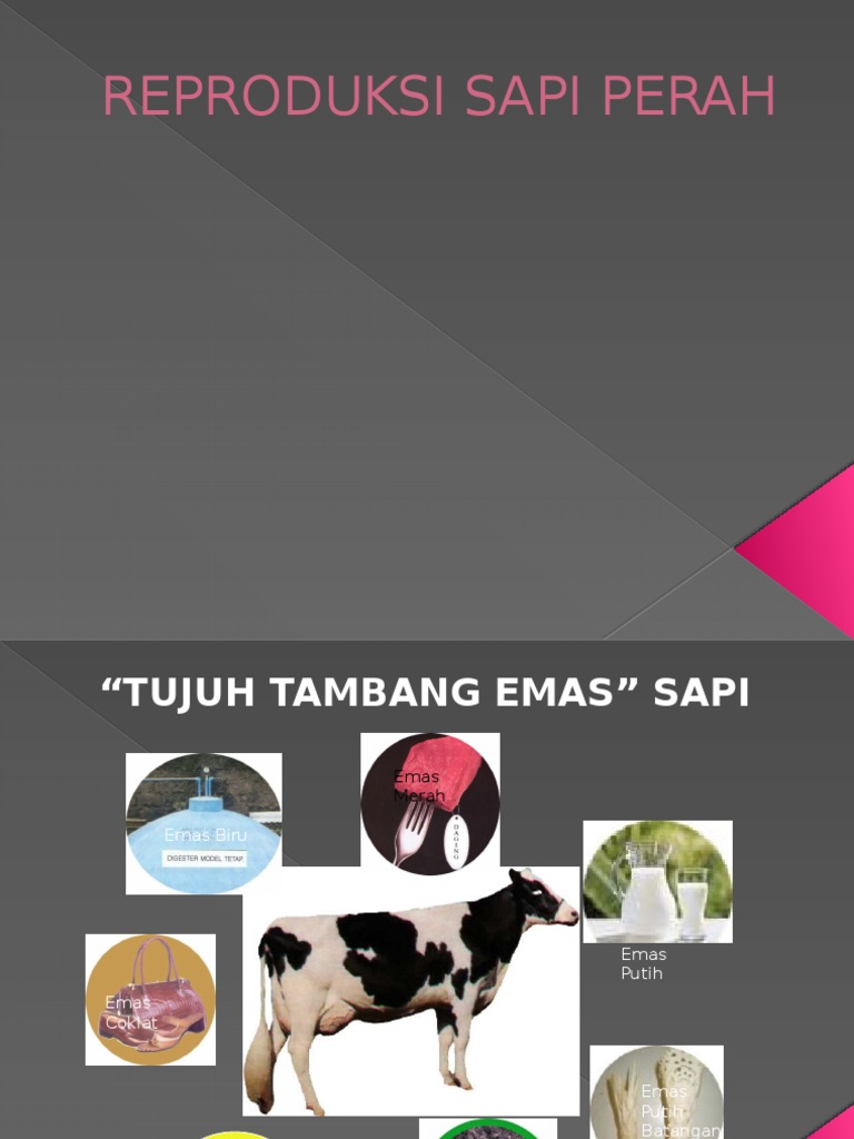 Reproduksi Sapi Perah | PDF