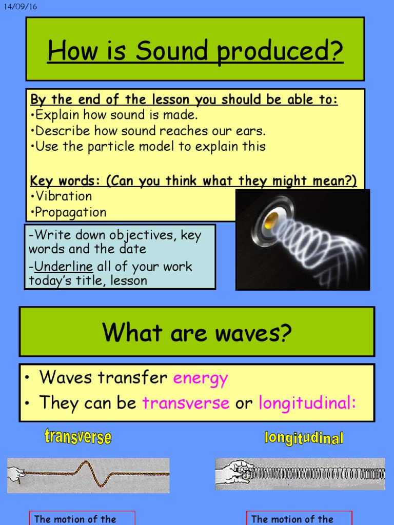 Year 8 Sound | PDF | Sound | Ear