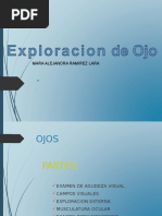 Guía de Exploración Oftalmológica | PDF | Ojo humano | Oftalmología