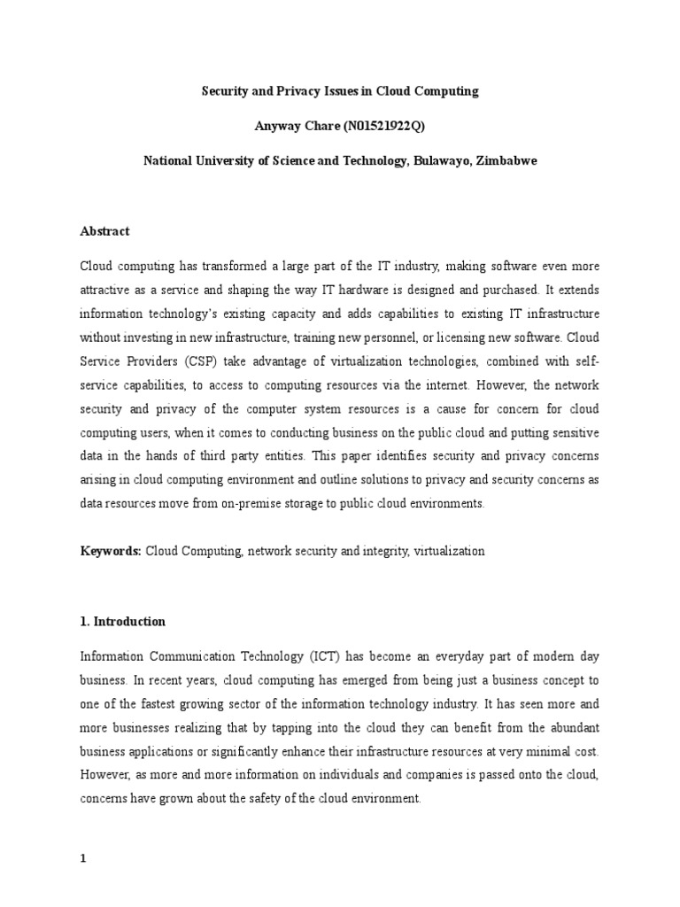 Security Issues On The Cloud Pdf Cloud Computing Computer Security
