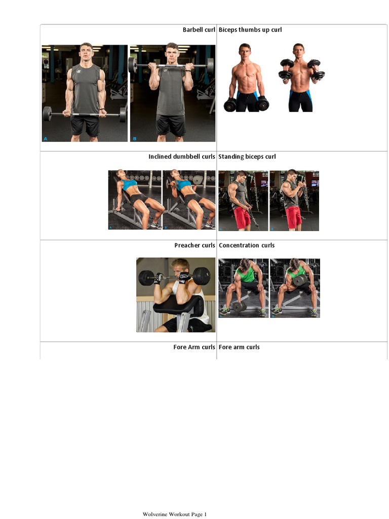 Barbell Curl Biceps Thumbs Up Curl: Wolverine Workout Page 1 | PDF